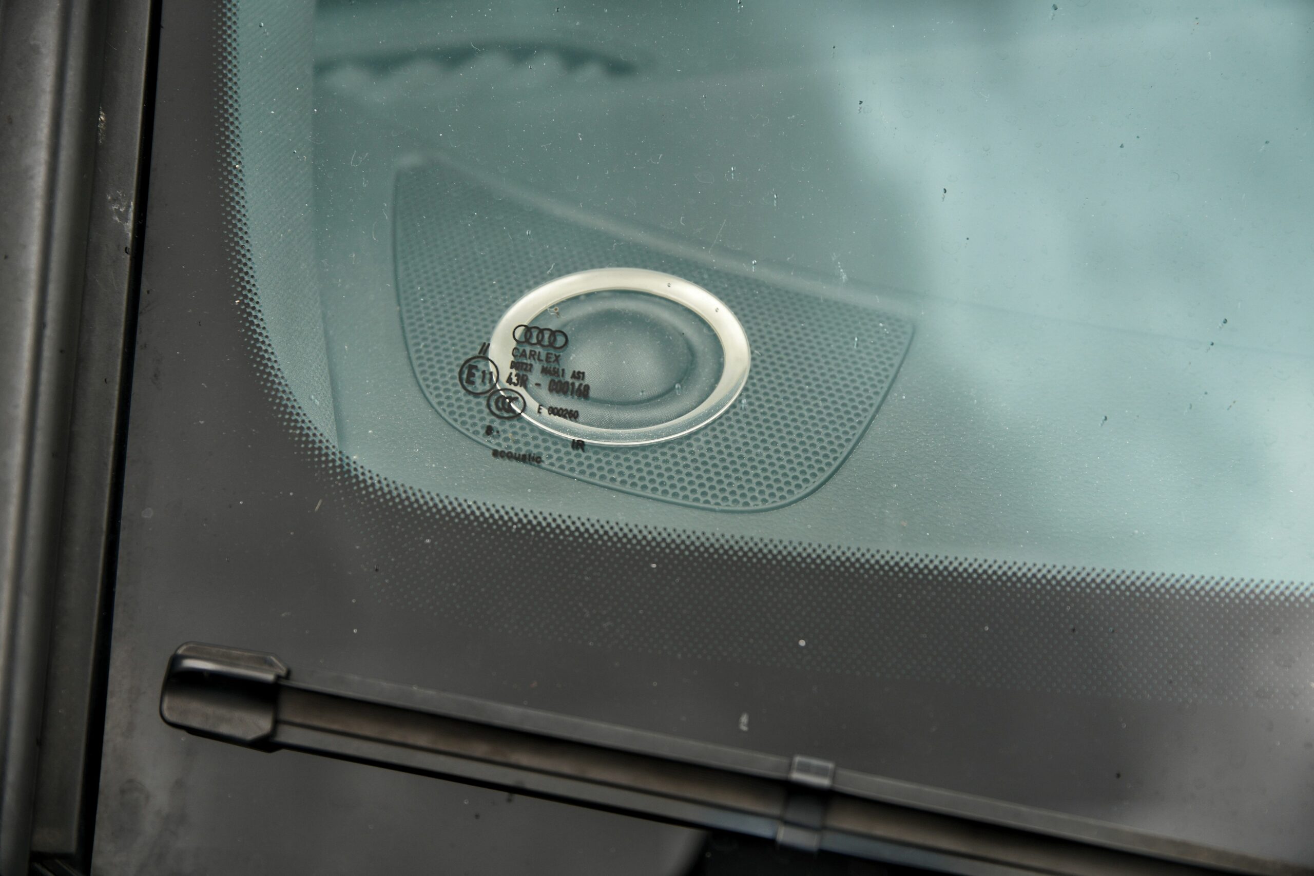 Leipzig2022-011 – EMMA Germany